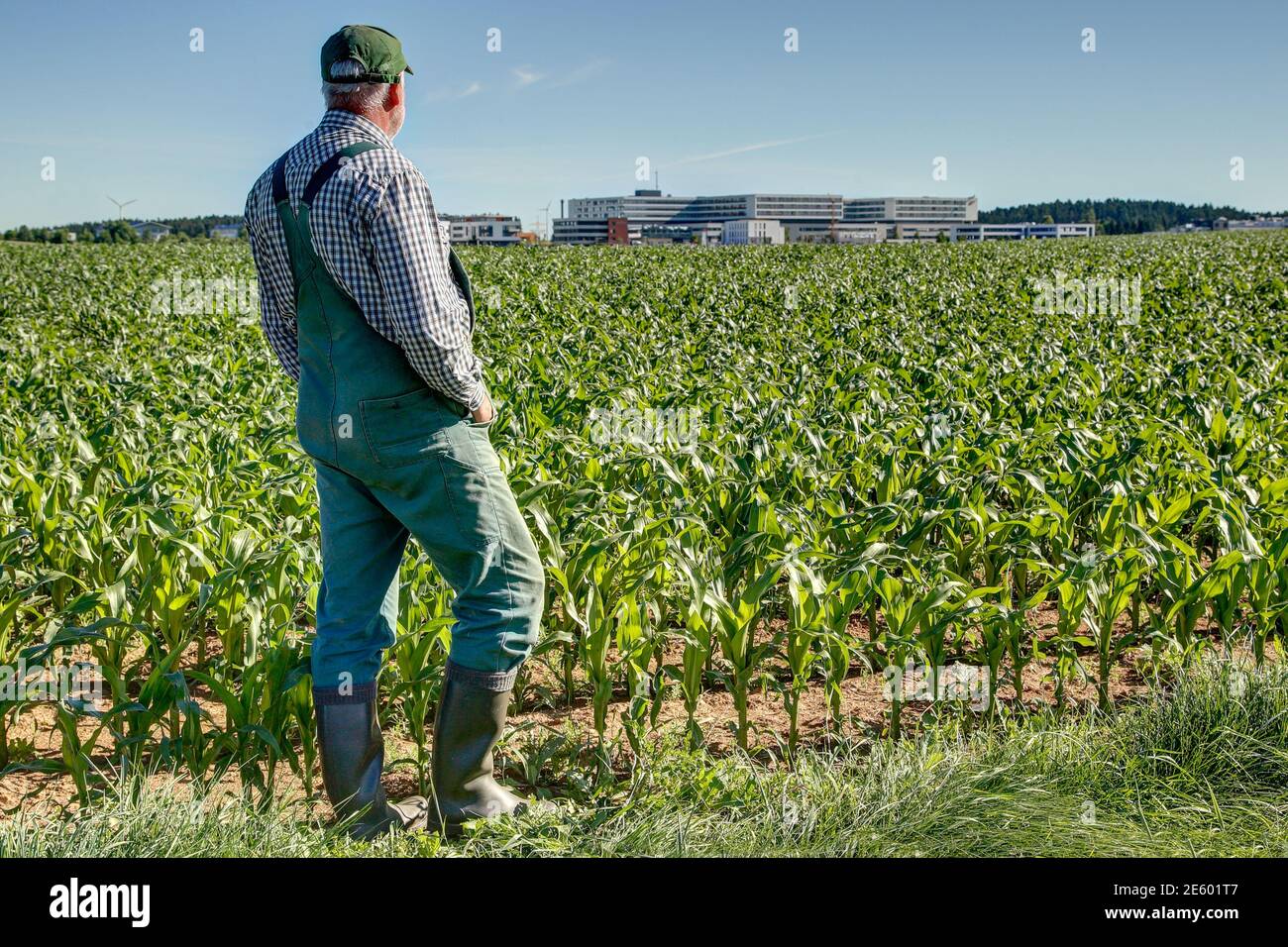 A farmer stands at his field and looks over to the city, which is ...