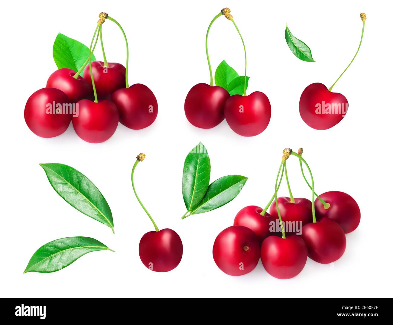 Cherry isolated on white background. Cherries berries with green leaves ...