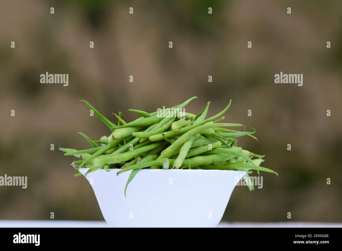 Tail pod radish hi-res stock photography and images - Alamy