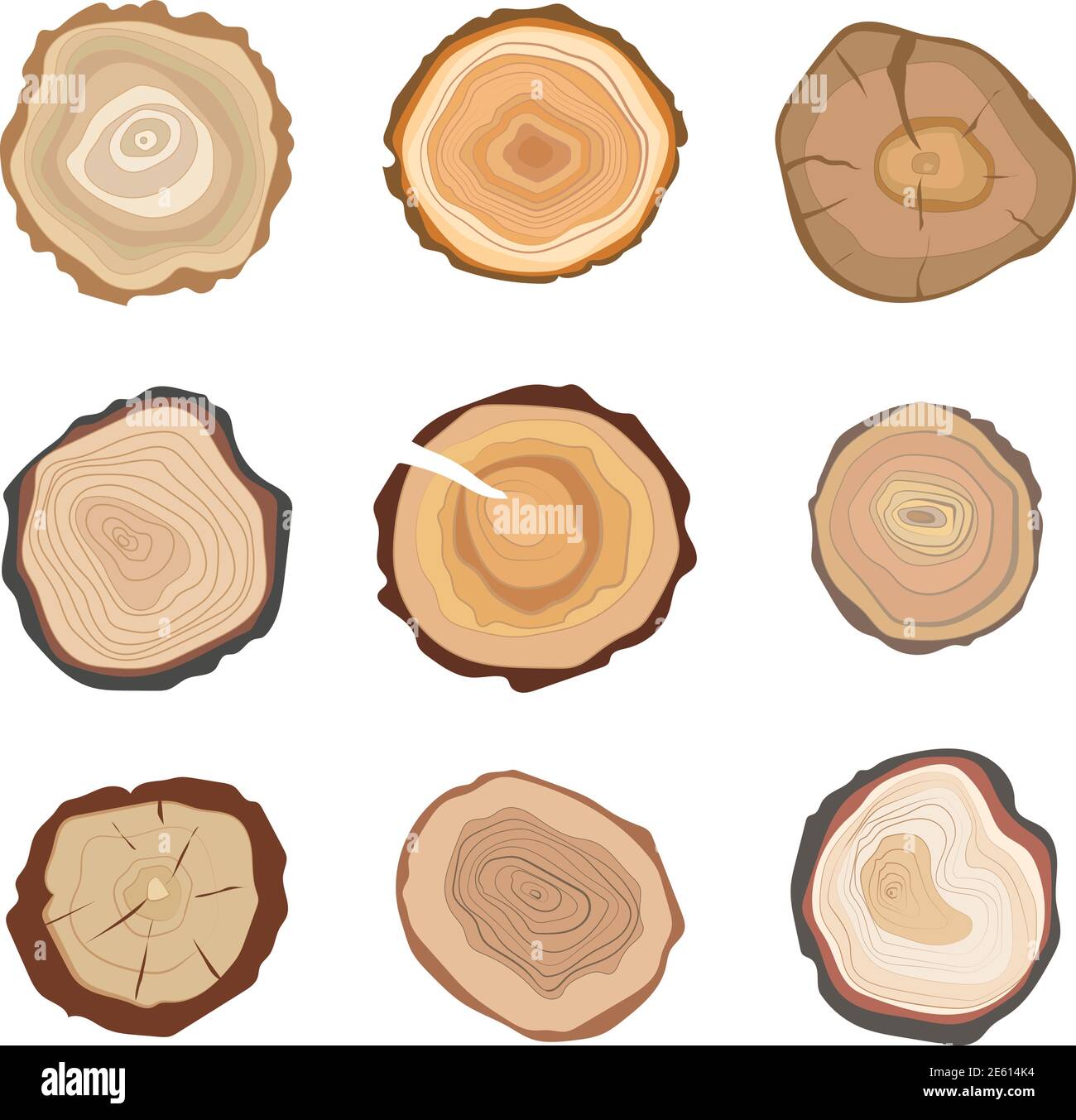 Cross section of tree stump rings set isolated on white background ...
