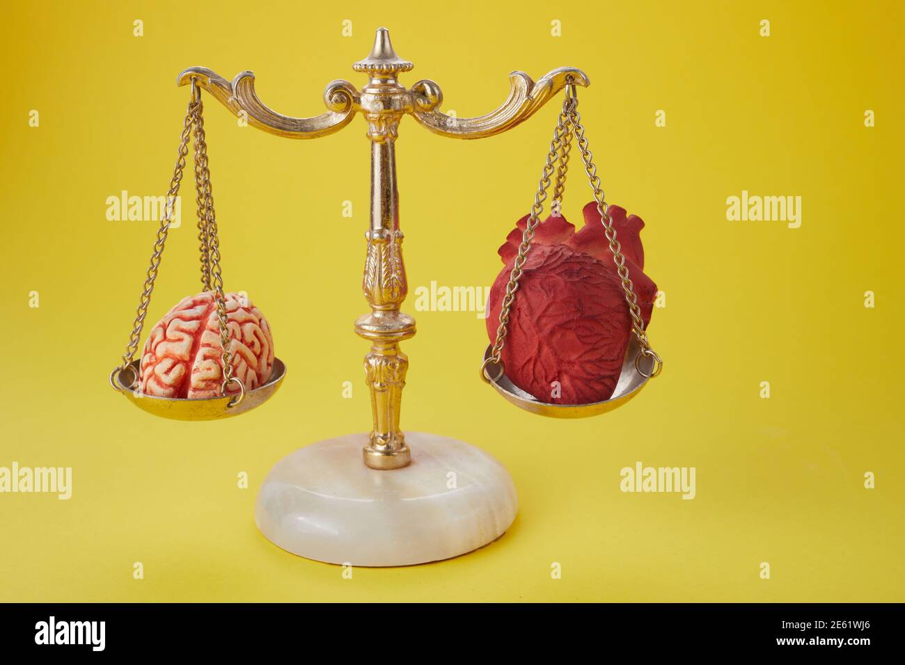 Brain and heart on scale balance on yellow background Stock Photo - Alamy