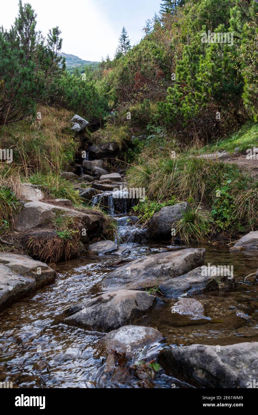 River Source Mountain