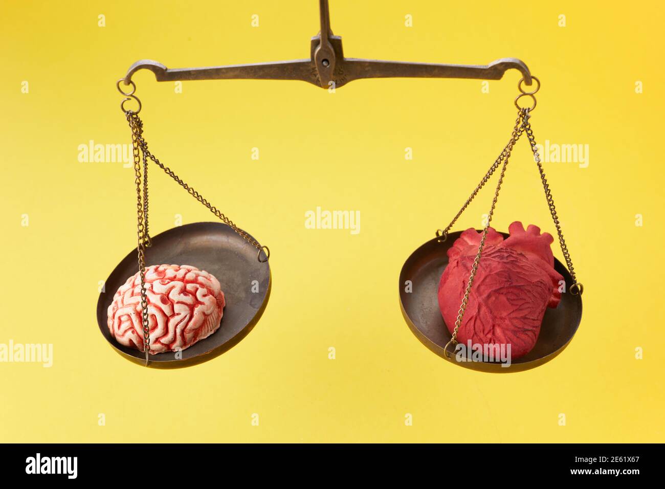 Brain and heart on scale balance on yellow background Stock Photo - Alamy