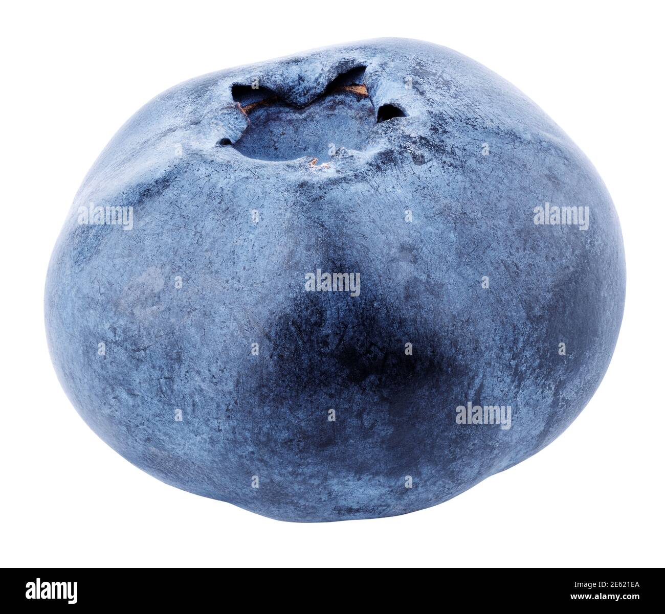 Single blueberry berry isolated on white background. Blueberry with ...