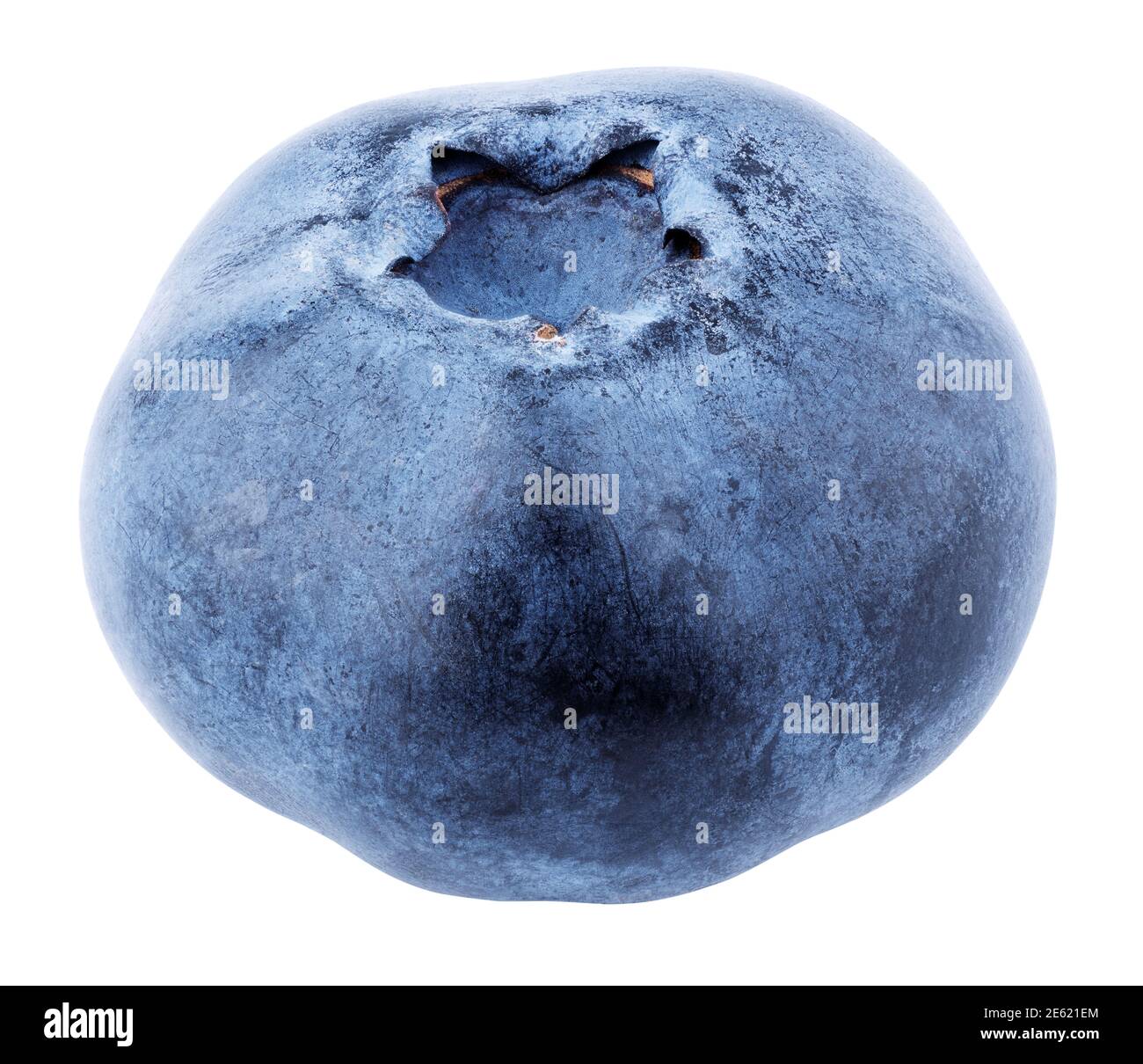 Single blueberry berry isolated on white background. Blueberry with ...