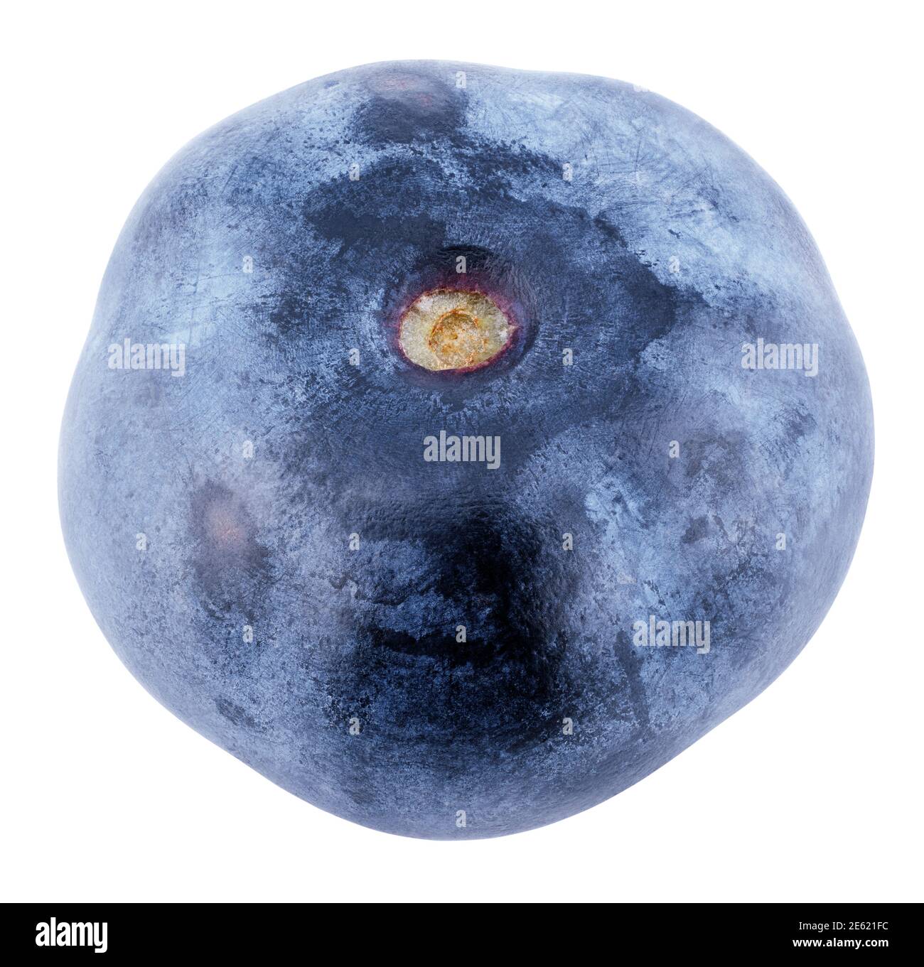 Single blueberry berry isolated on white background. Blueberry with ...