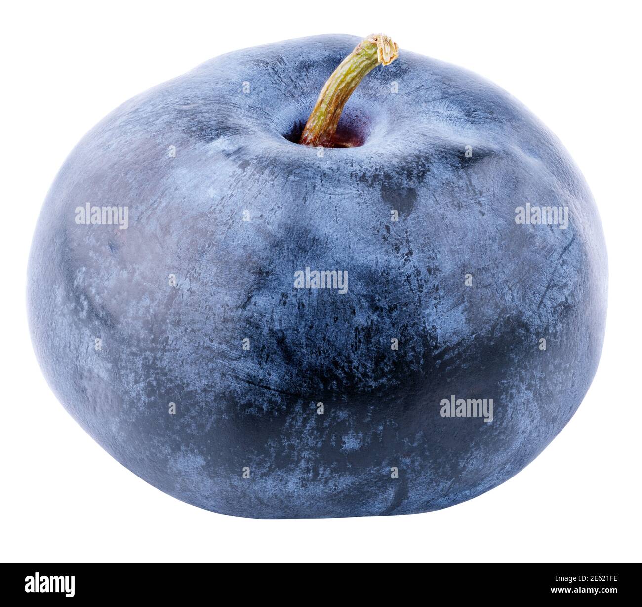 Single blueberry berry with stem isolated on white background ...