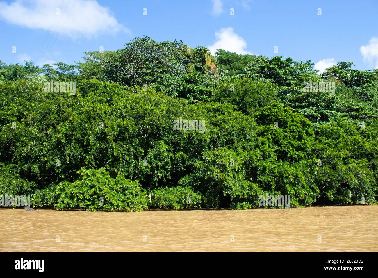 Mauritius island: Rainforest, river, sea Stock Photo - Alamy