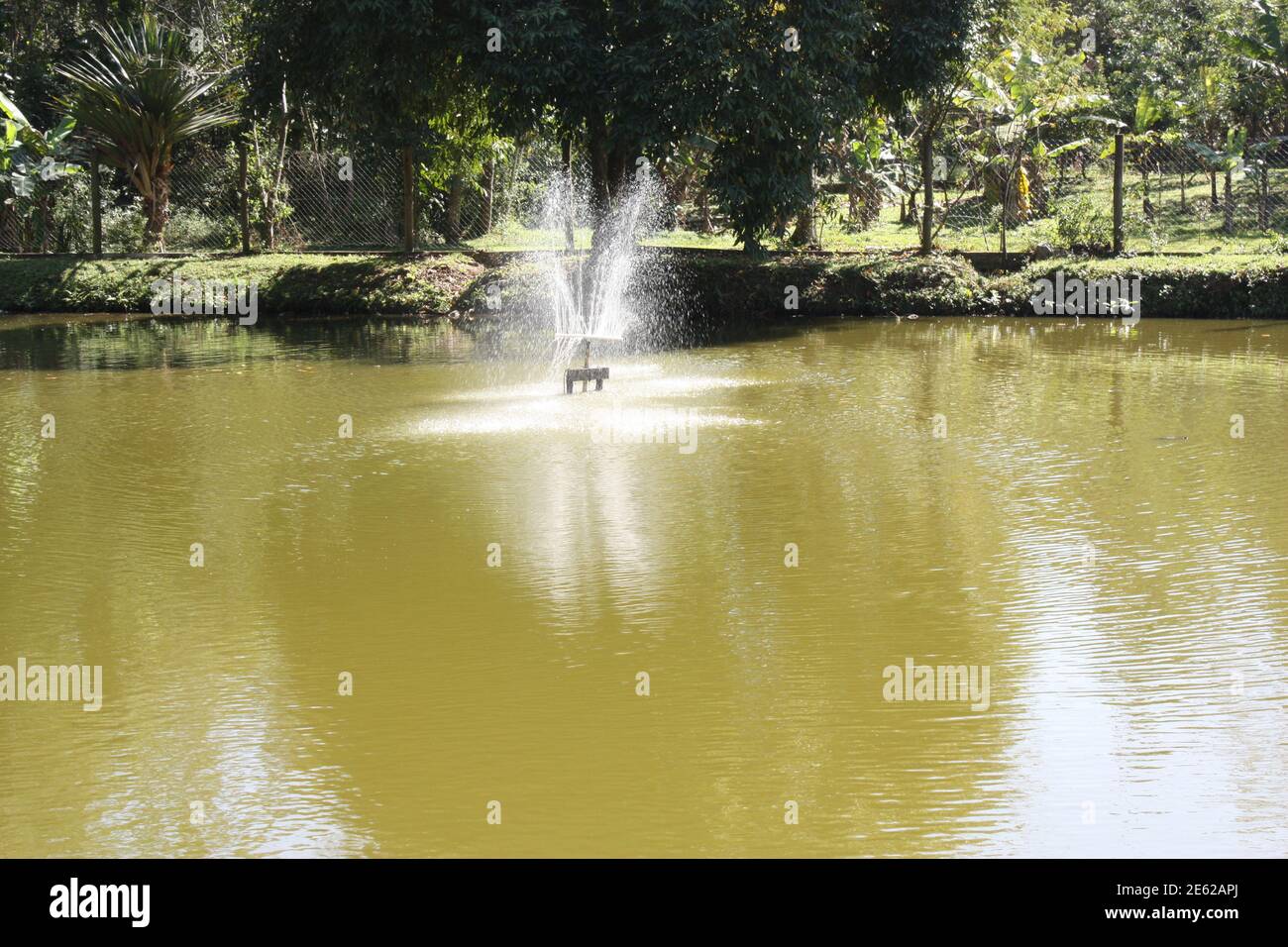 Horto florestal hi-res stock photography and images - Alamy