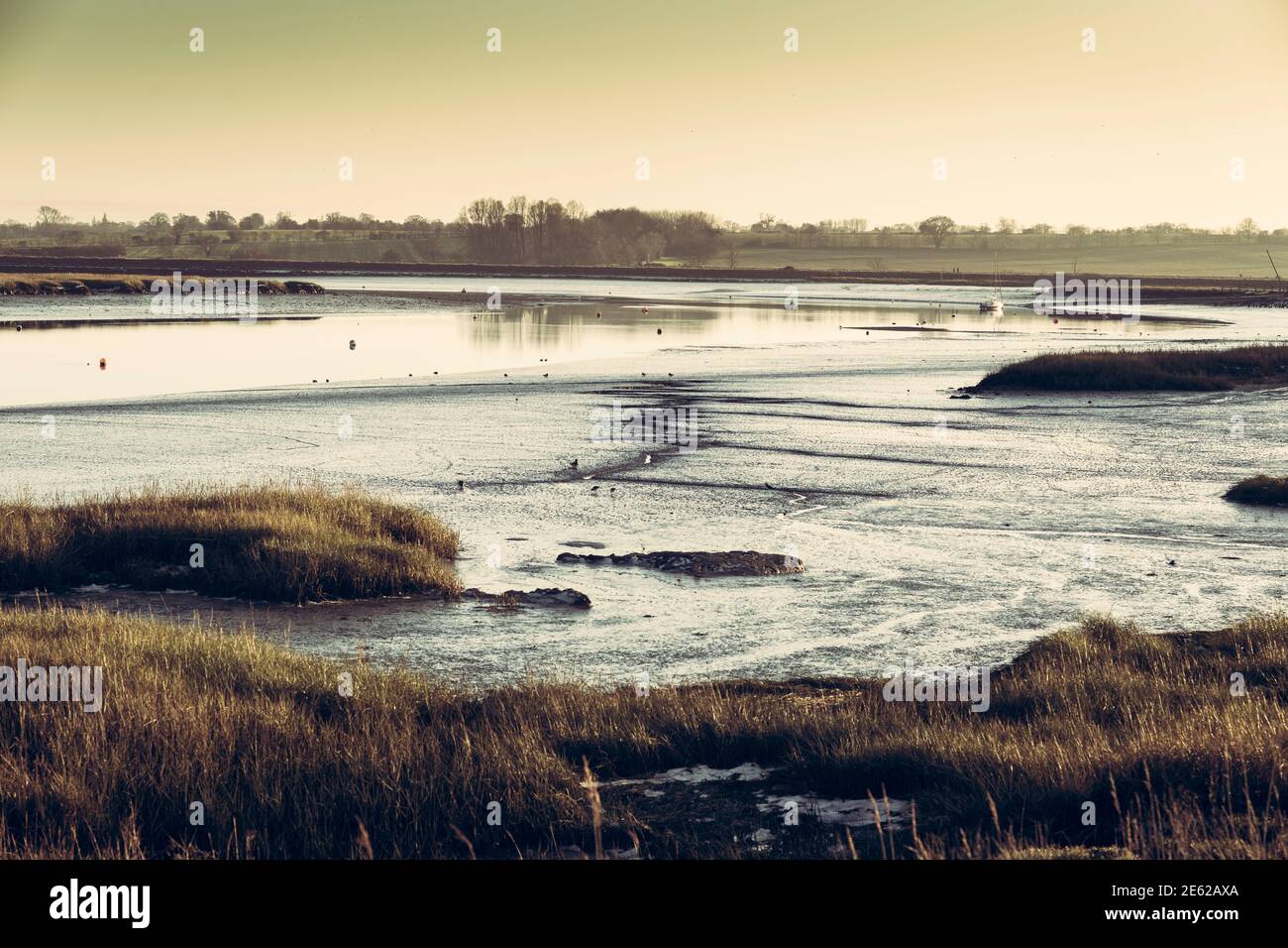 Tinted photograph of the river Deben at low tide, lockdown walks, sunny ...