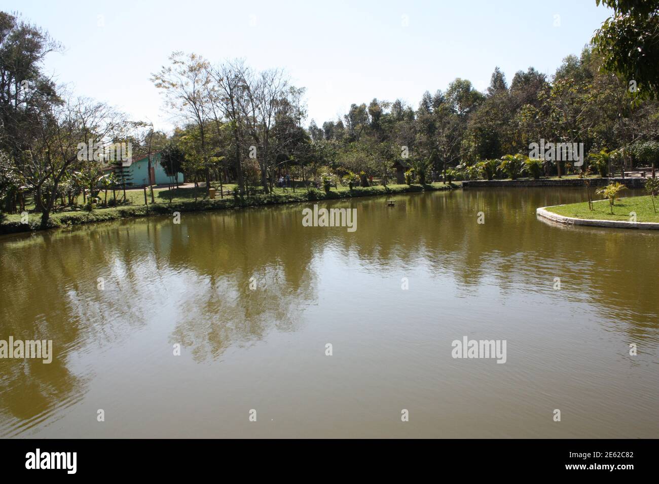 Horto Florestal Córrego Grande - Florianópolis SC Brazil Stock Photo ...