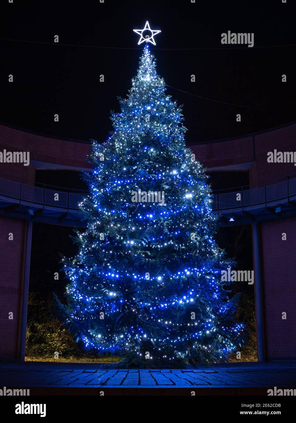 Christmas tree outside with blue lightning and star on top Stock Photo ...