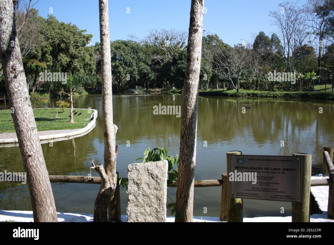 Pato grande hi-res stock photography and images - Alamy