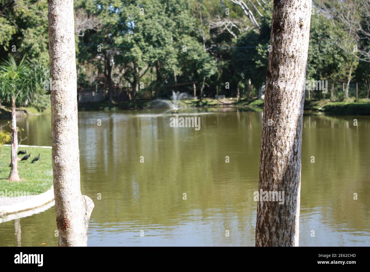 Corrego do horto hi-res stock photography and images - Alamy