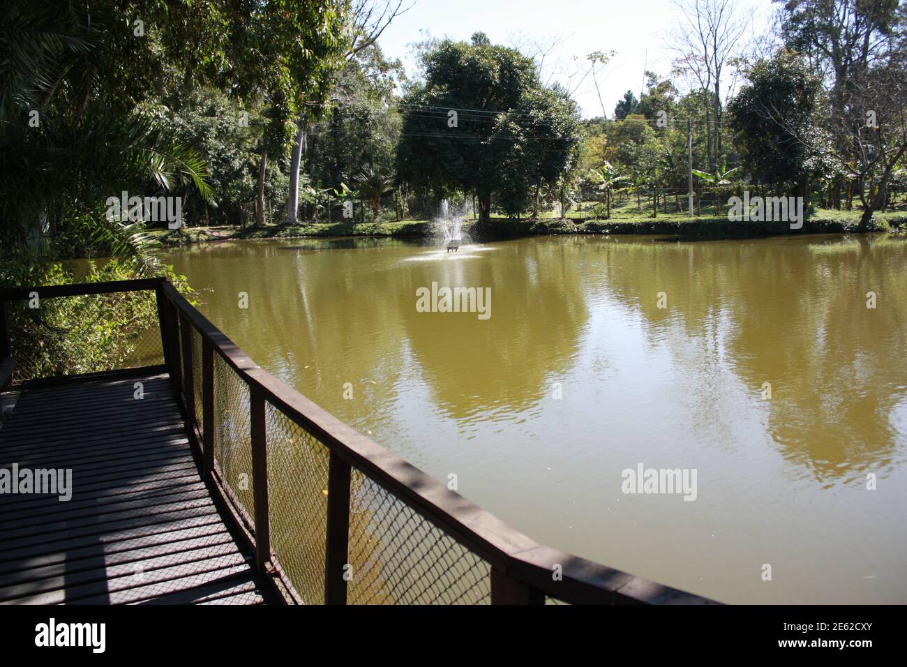 Pato grande hi-res stock photography and images - Alamy