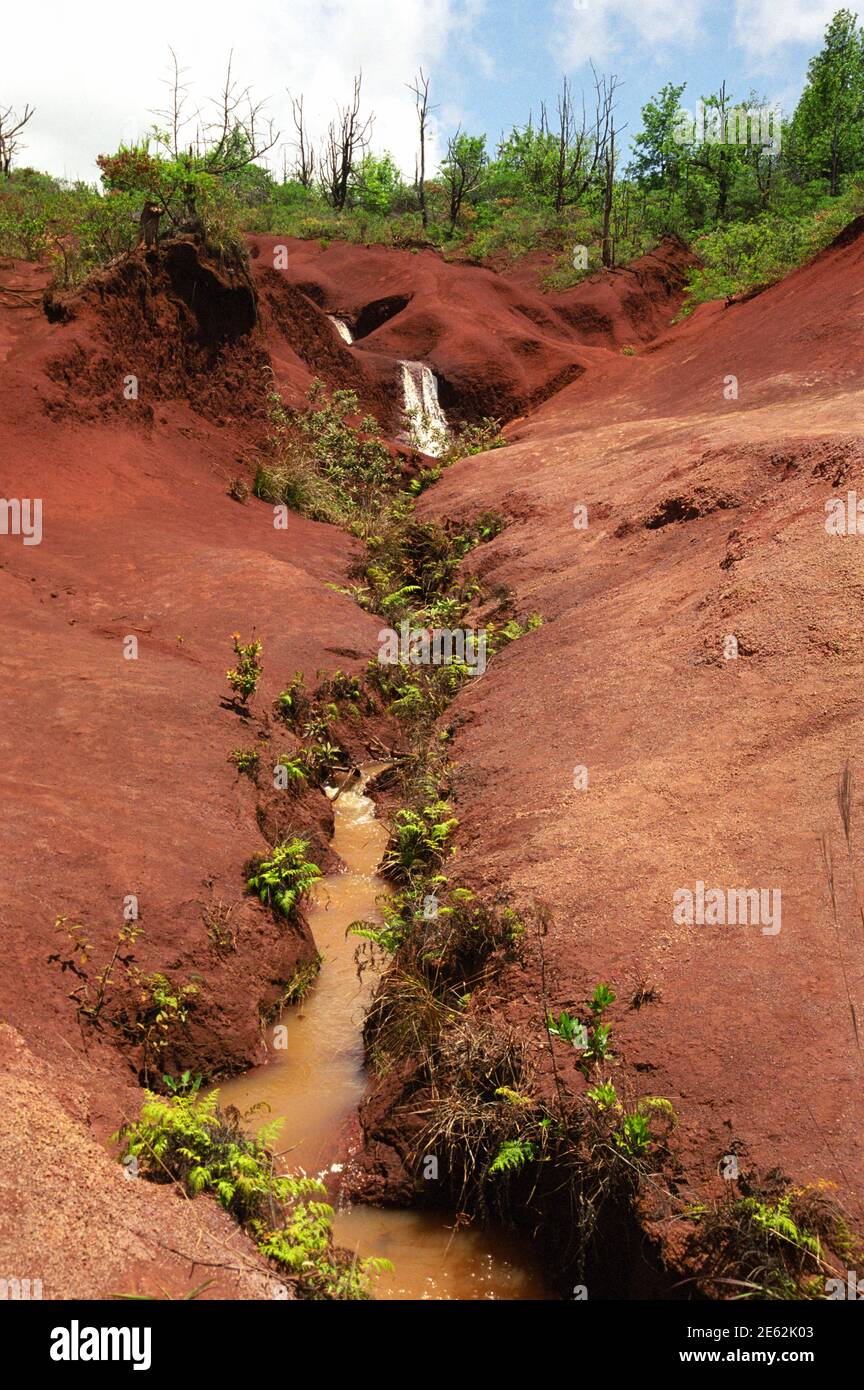 Red earth canyon hi-res stock photography and images - Alamy