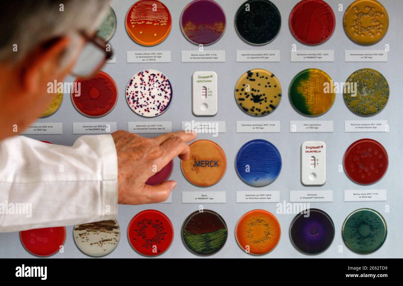 Bacterias coli hi-res stock photography and images - Alamy