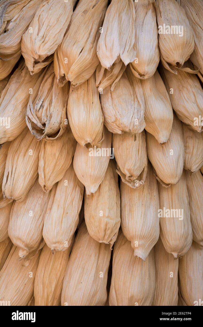 Dried corn in husks; El Parador de Moray restaurant, Sacred Valley ...