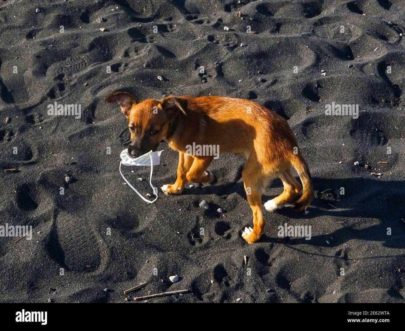 A nice picture from my companion Dschini with a breathing mask , a nice ...