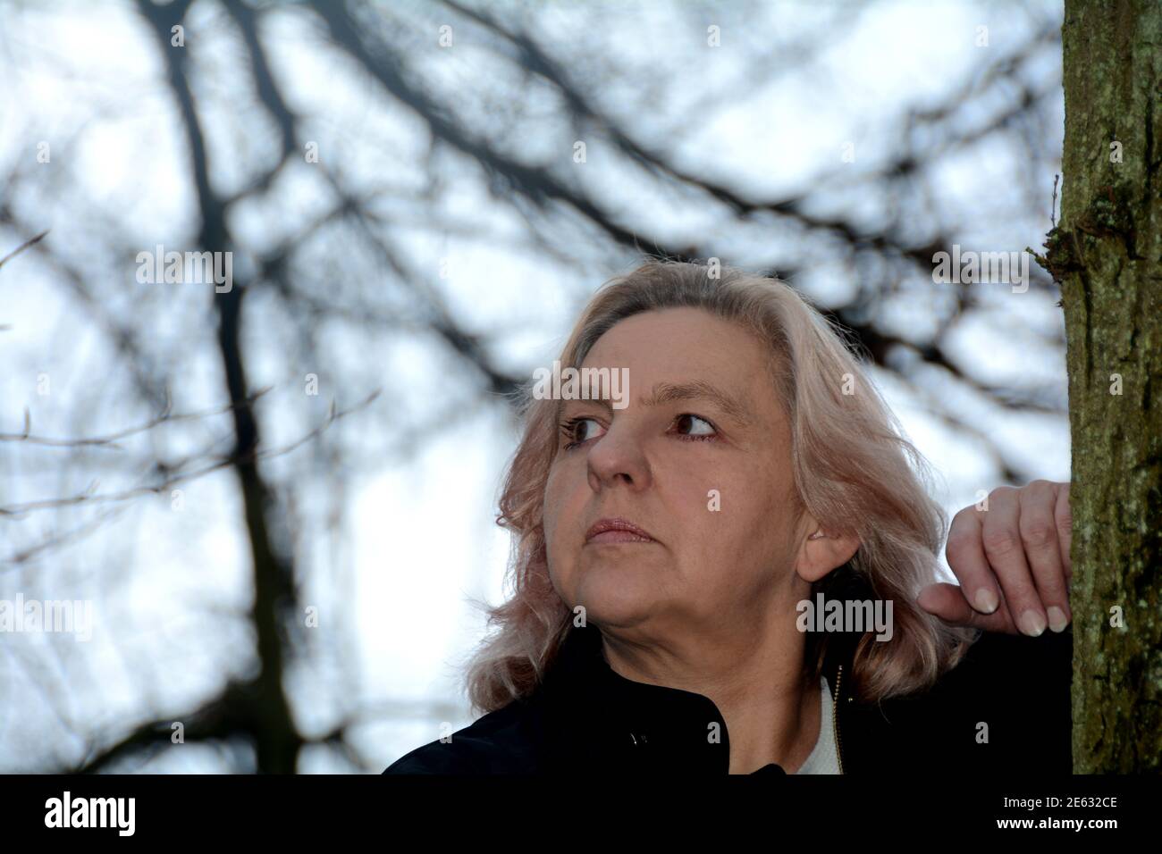 Middle aged tree hi-res stock photography and images - Alamy