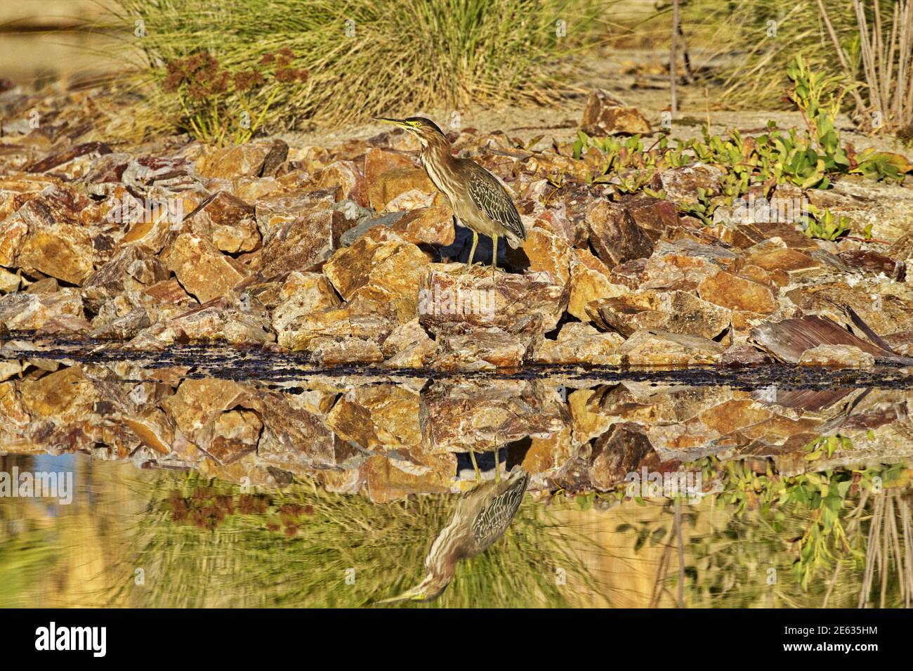 Rip rap rock hi-res stock photography and images - Alamy