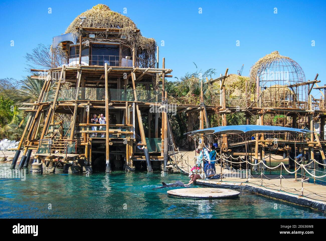 Lookout jetty dolphin reef eilat hi-res stock photography and images ...