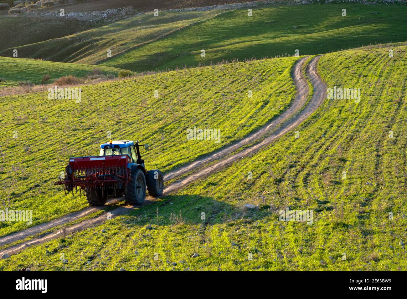 tractor on a country road at the daybreak Stock Photo - Alamy