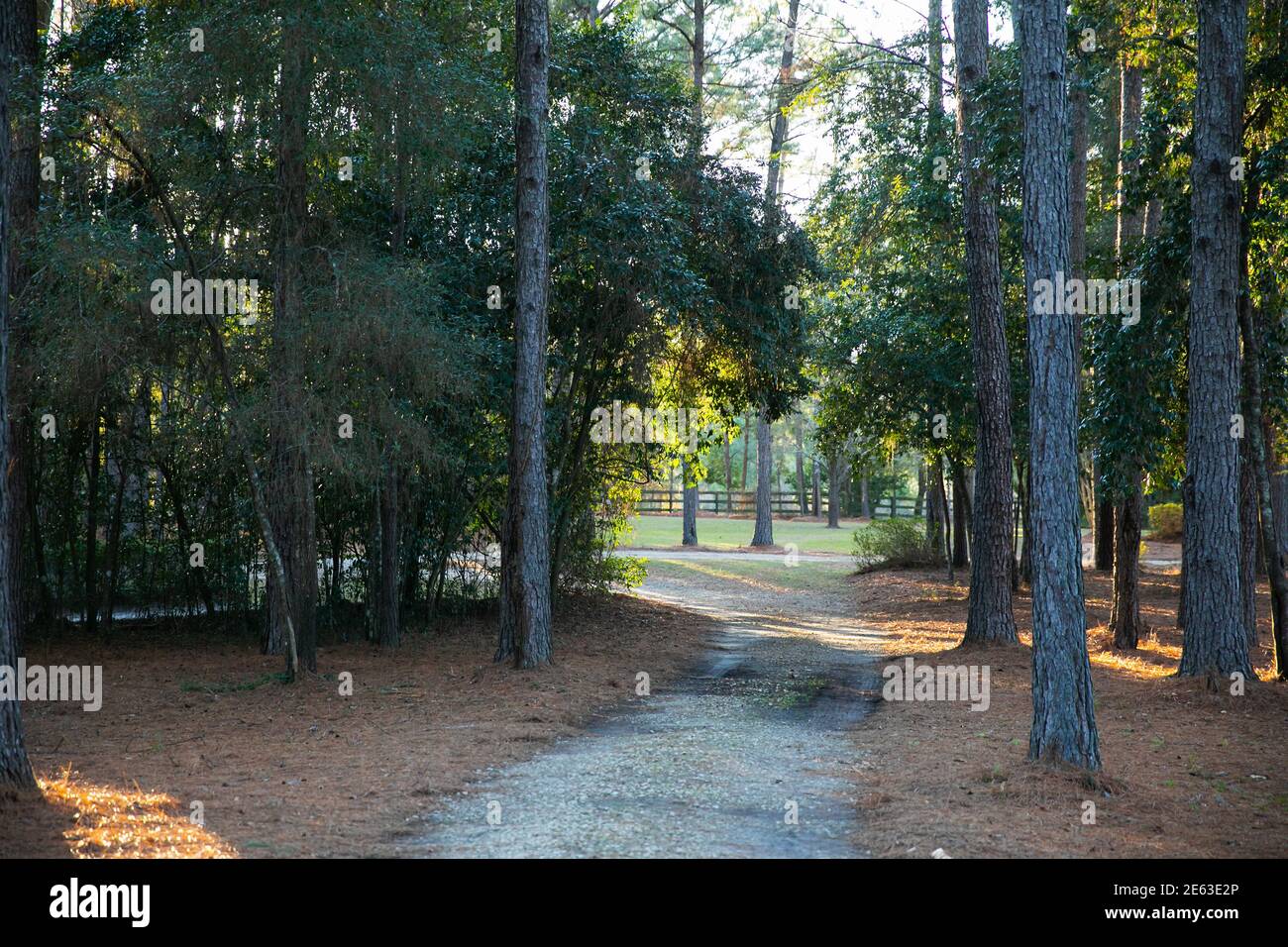Grass pathway hi-res stock photography and images - Alamy