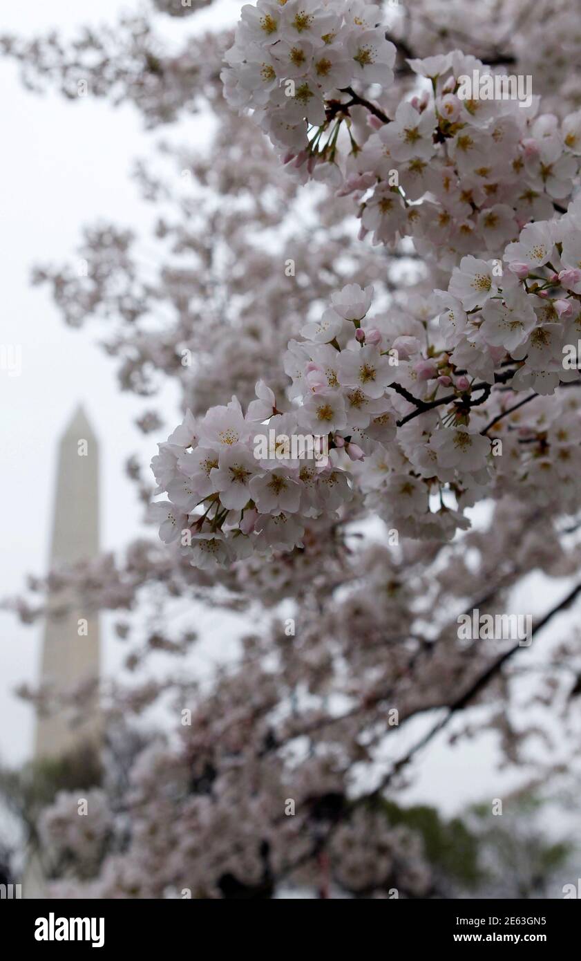 Taft helen herron hi-res stock photography and images - Alamy