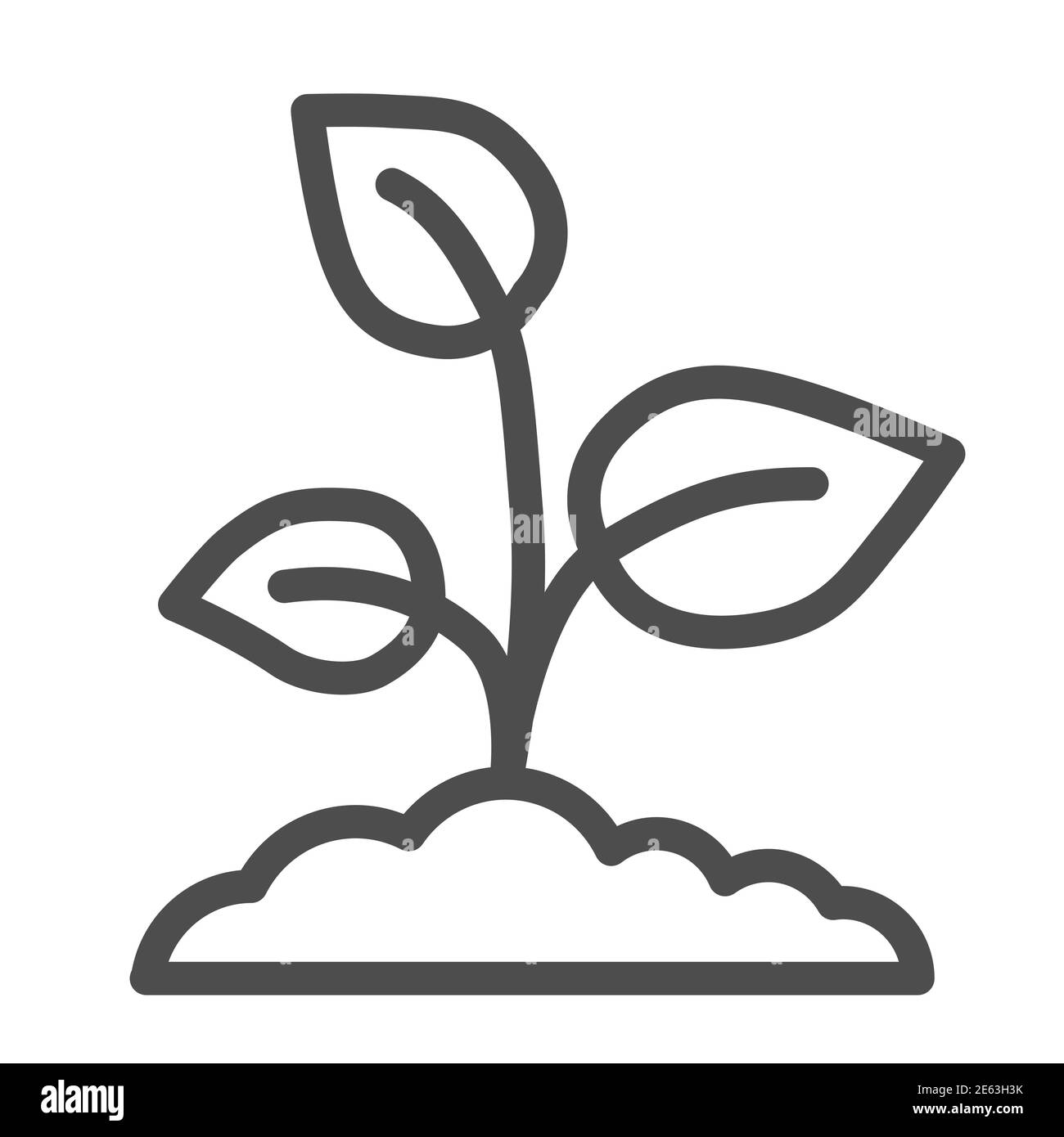 Grow growing plant growth grow Black and White Stock Photos & Images ...