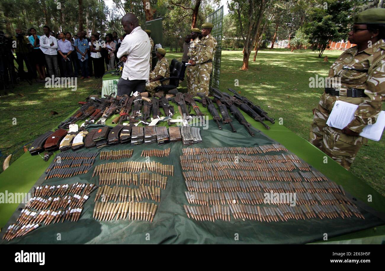 Human poaching hi-res stock photography and images - Alamy