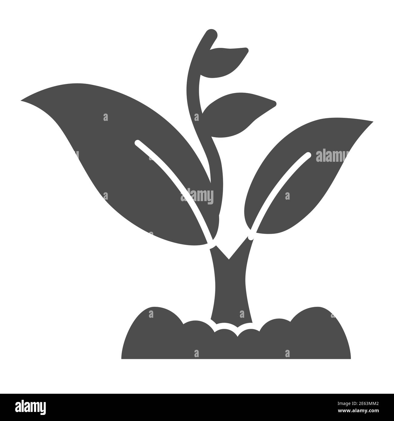 Sprout grows with many leaves solid icon, Gardening concept, Sprout ...
