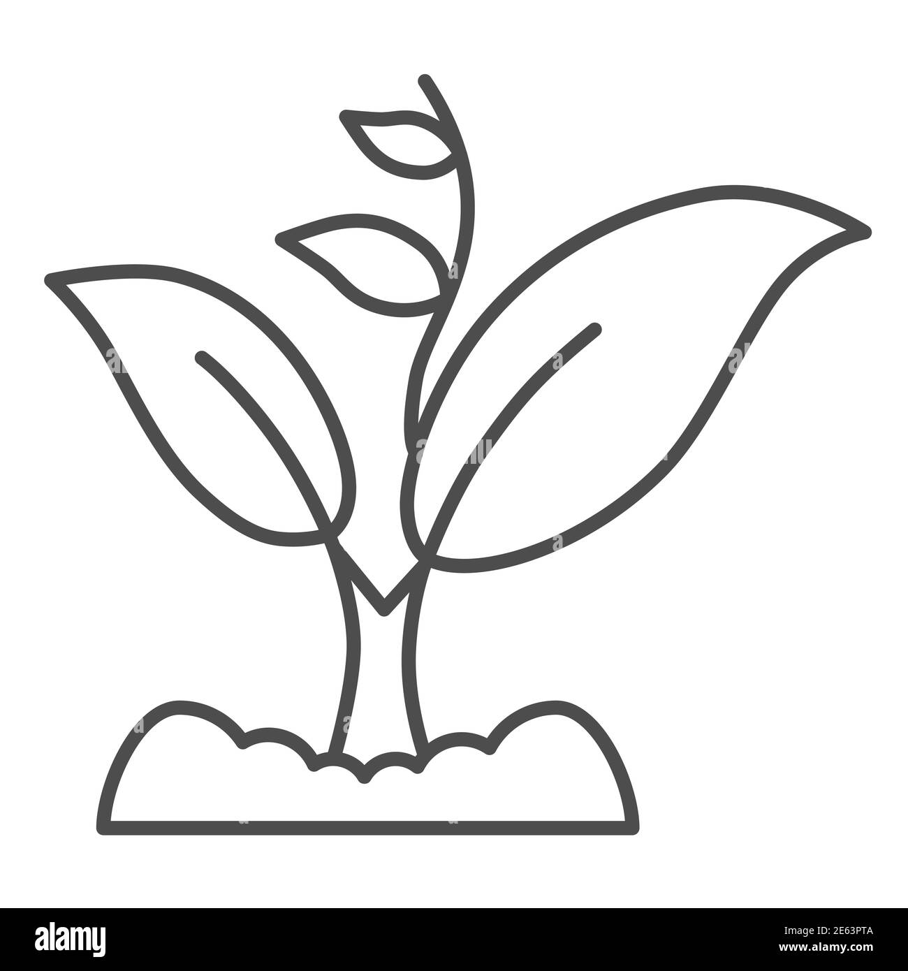 Sprout grows with many leaves thin line icon, Gardening concept, Sprout ...