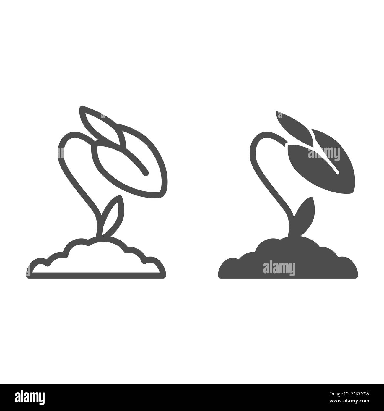 Flower bud line and solid icon, floral concept, rose closed blossoms ...