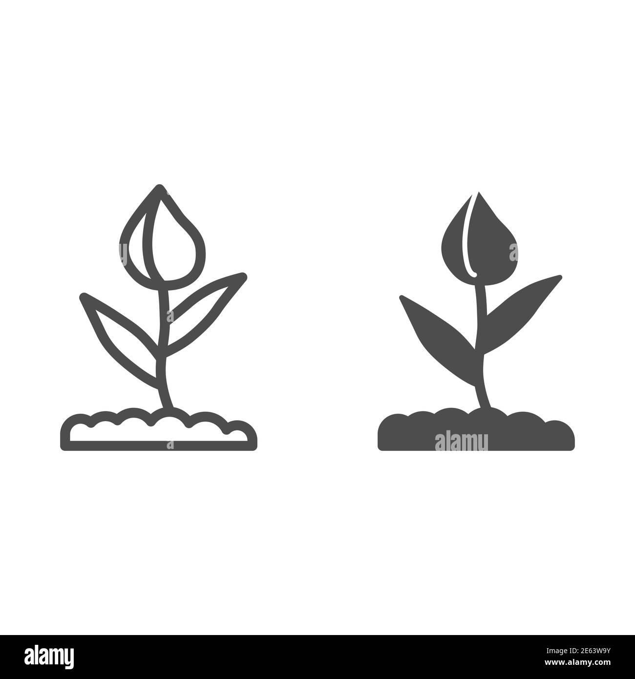 Flower bud line and solid icon, Floral concept, closed tulip bud with ...