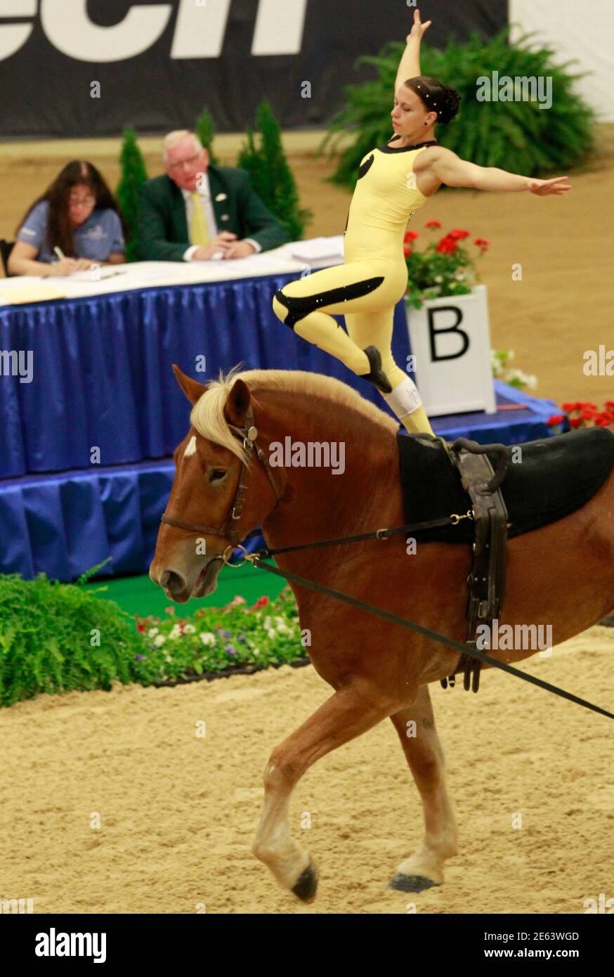 World equestrian games vaulting hi-res stock photography and images - Alamy