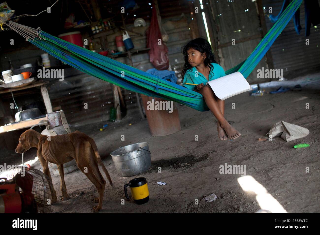 1920s cattle industry hi-res stock photography and images - Alamy