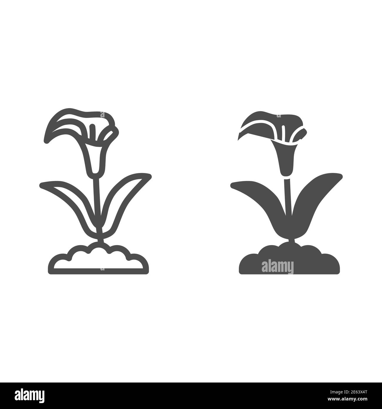 White orchid on in Black and White Stock Photos & Images - Alamy