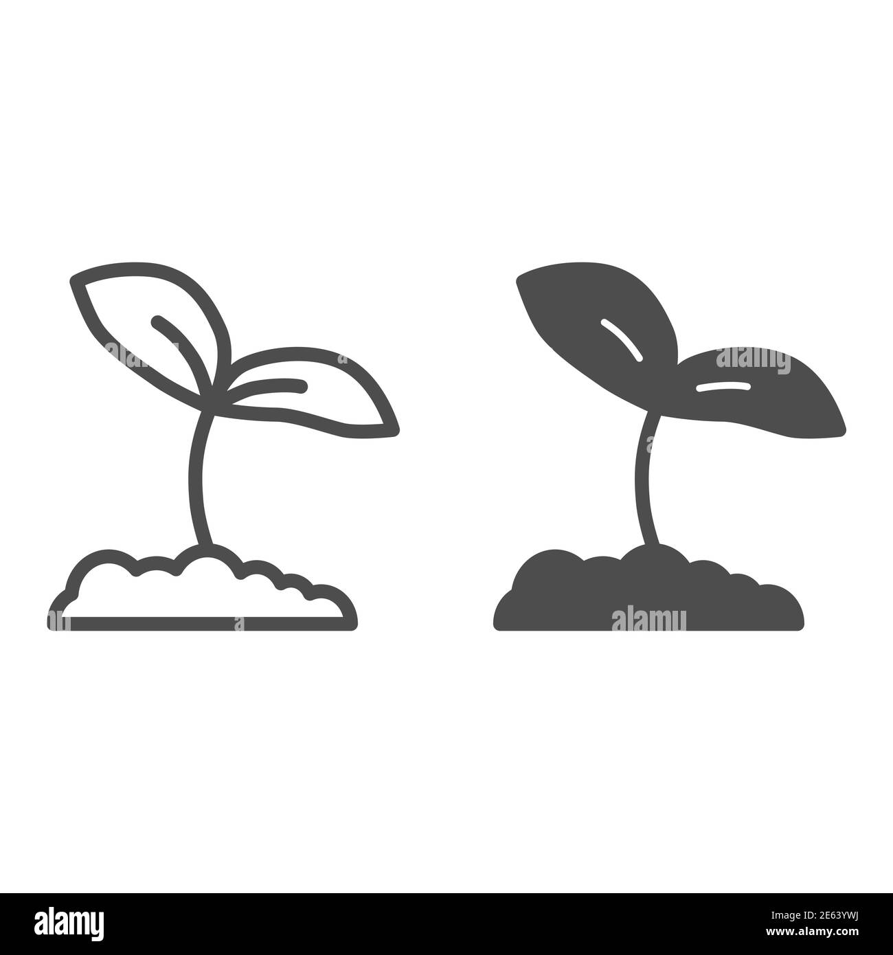 Black And White Sprouting Seeds