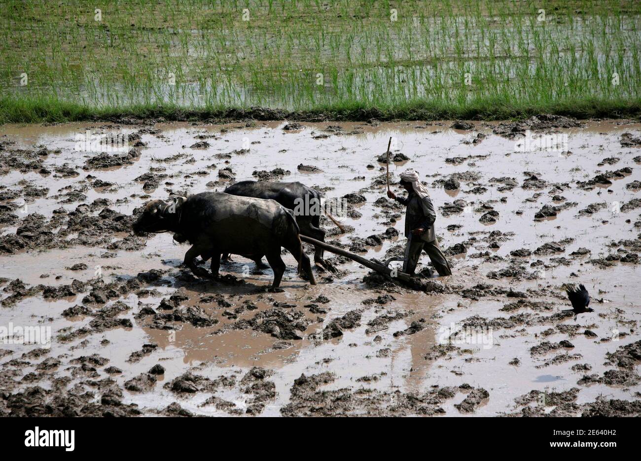 Kashmir border hi-res stock photography and images - Alamy