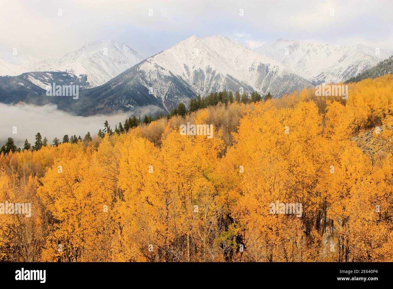 Fall colors and snow covered peaks hi-res stock photography and images ...