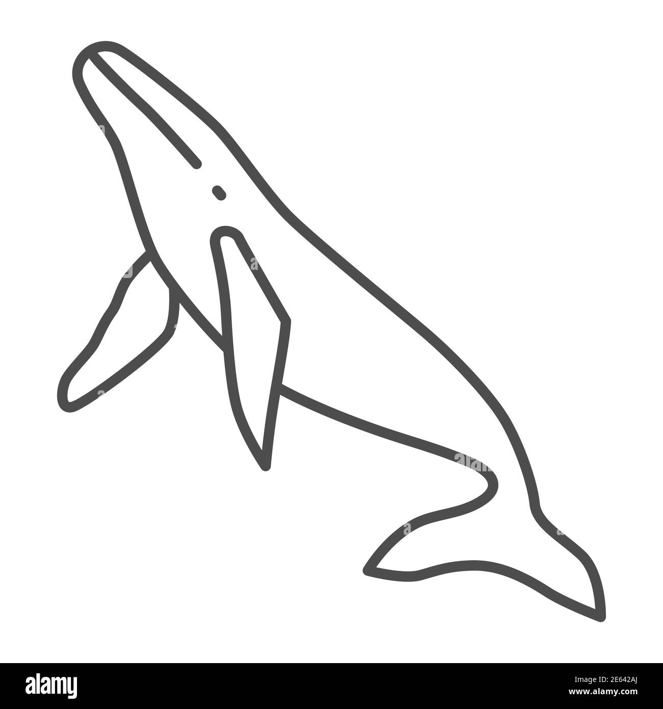 Orca Outline