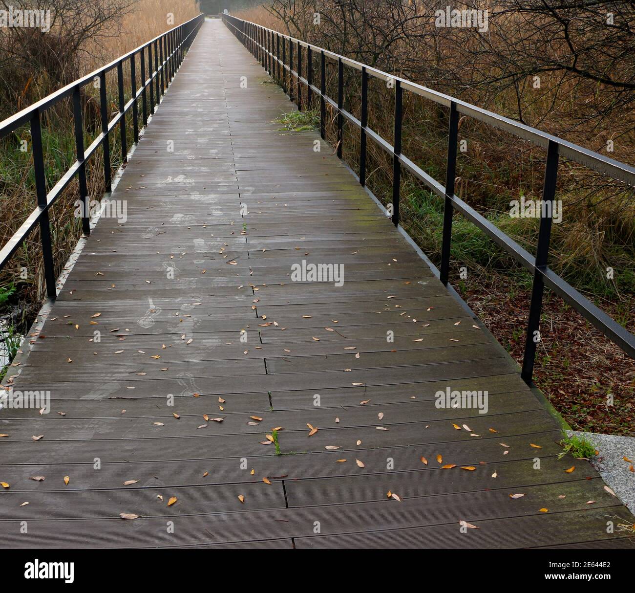 Diminishing perspective view Long footbridge with wooden planks and ...