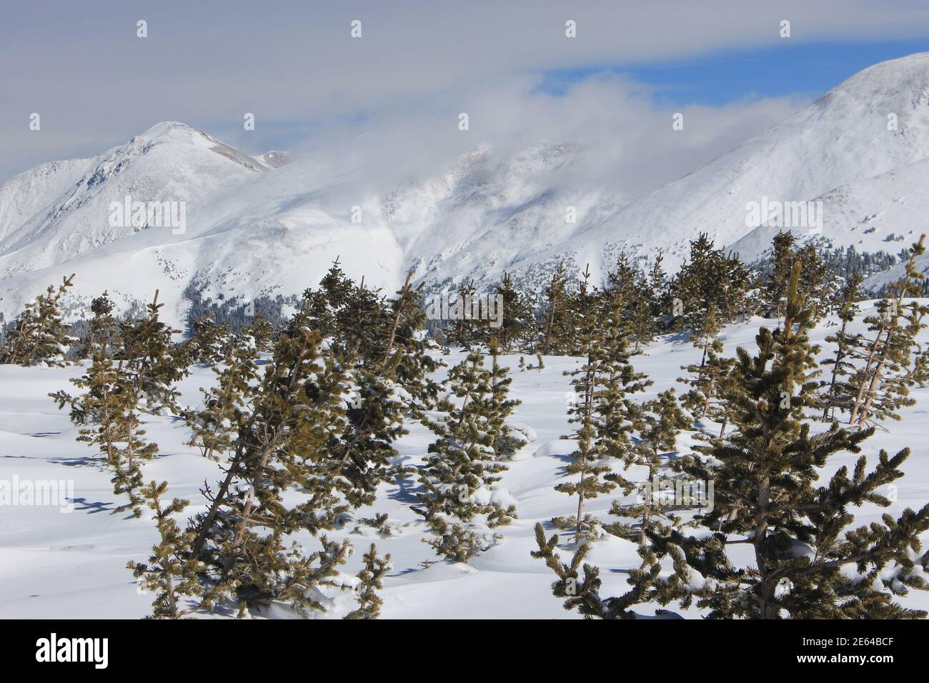 Winter Scene At High Elevation Stock Photo - Alamy