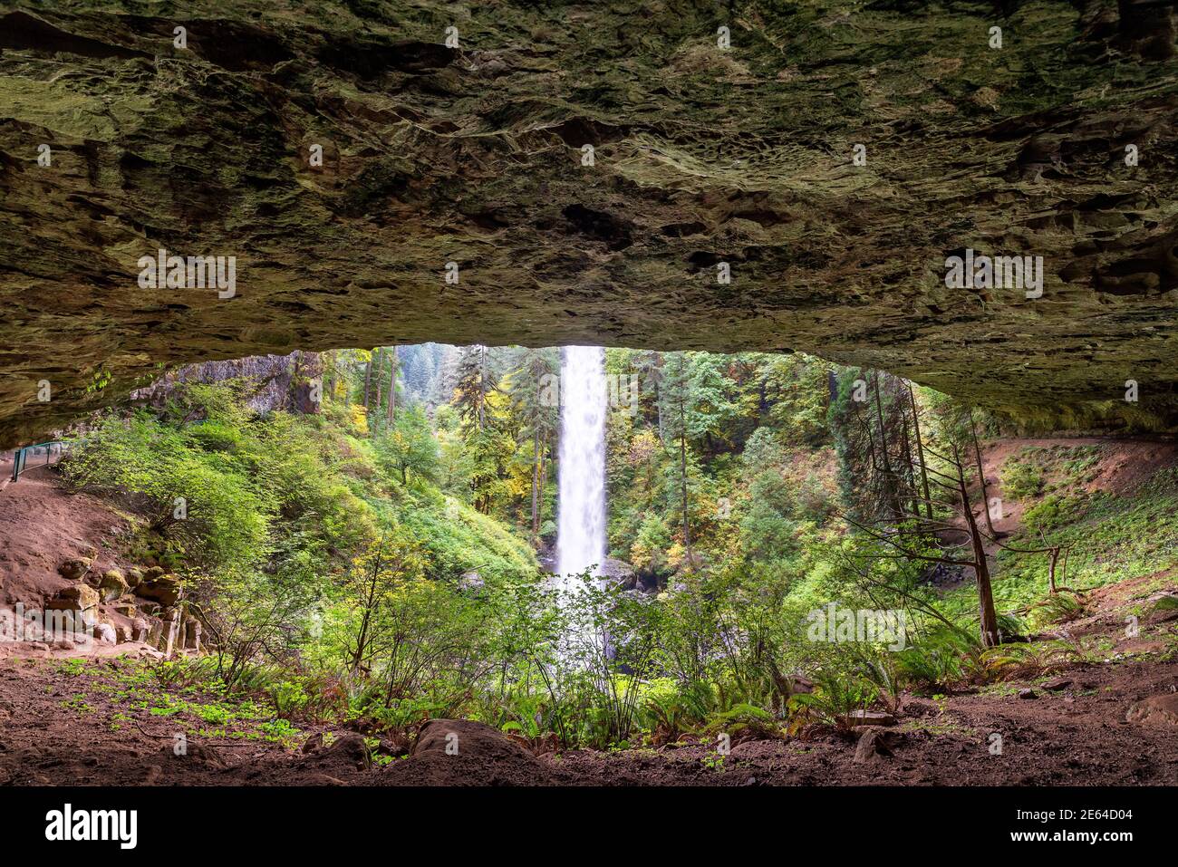 Stunning view of North Falls in Silver Falls State Park near Silverton ...