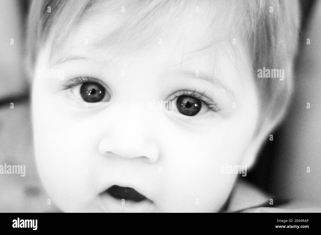A One year Old Boy Looking At The Camera Stock Photo Alamy a-one-year-old-boy-looking-at-the-camera-stock-photo-alamy
