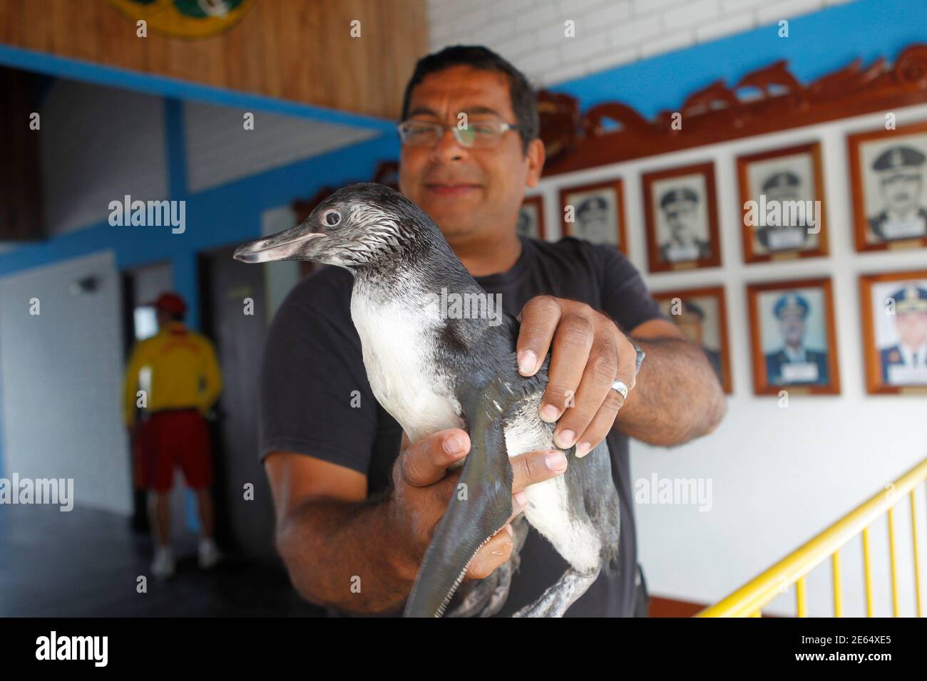 Police penguin hi-res stock photography and images - Alamy