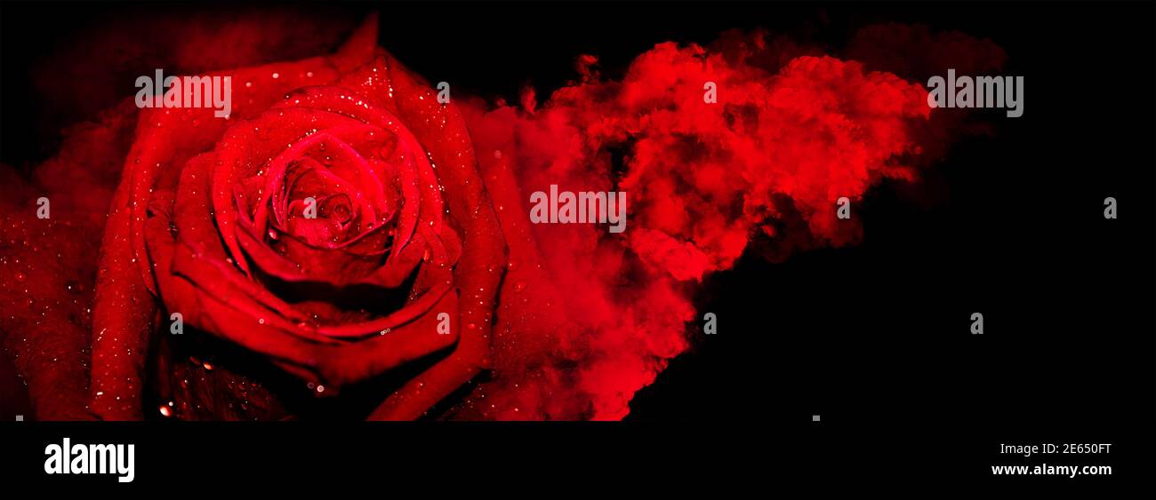 Red rose with smoke and hearts splash on a black background Stock Photo ...