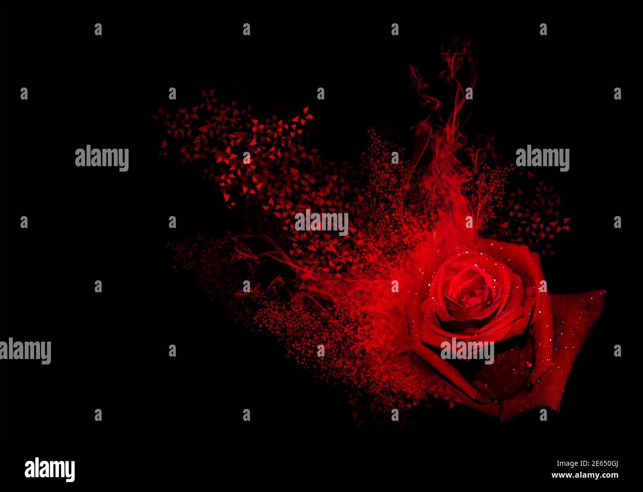 Red rose with smoke and hearts splash on a black background Stock Photo ...