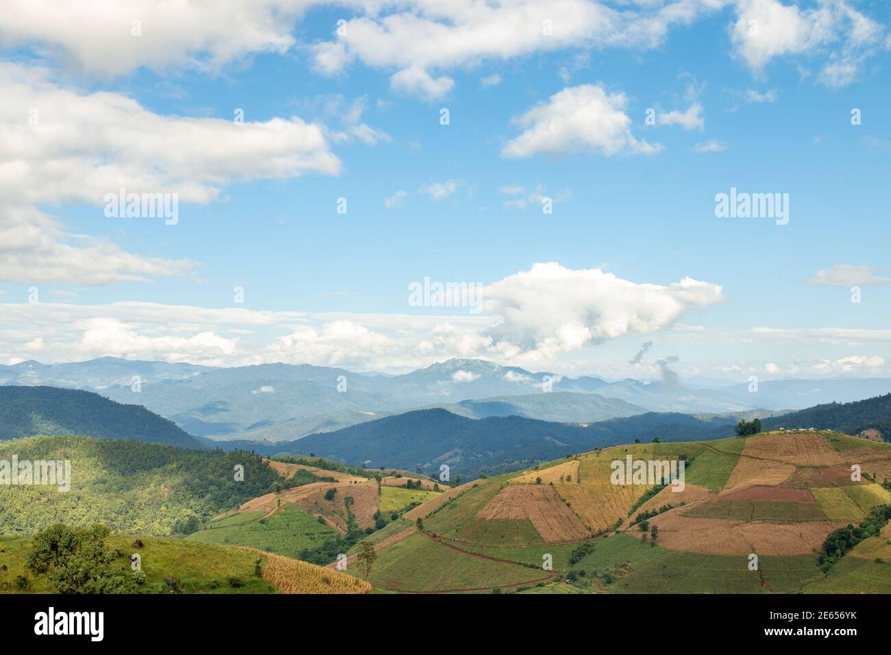 Agricultural plots hi-res stock photography and images - Alamy